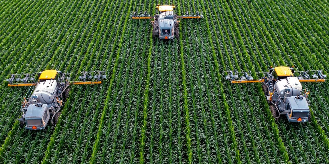 Queensland company Bundaberg Farming collapses owing $16m