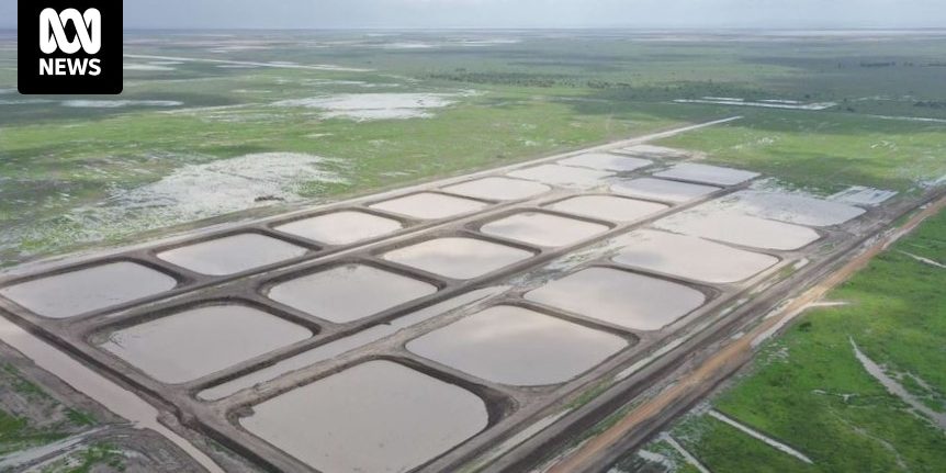 Project Sea Dragon appeal dismissed by Federal Court, company to be ...