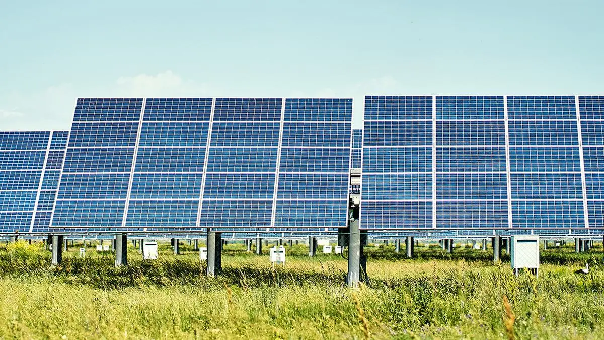 Indosolar, Ruchi Soya, Orchid provide hope for minority shareholders of ...